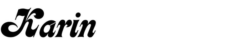 Karin in use - Fonts In Use