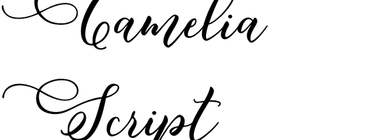 Camelia Script in use - Fonts In Use