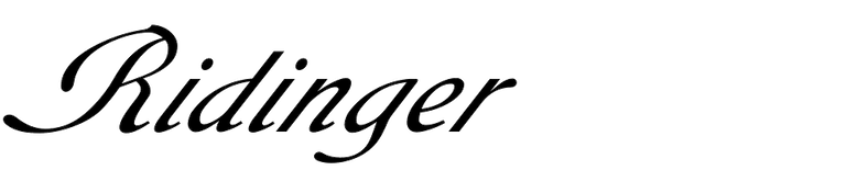 Ridinger in use - Fonts In Use