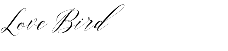 Love Bird in use - Fonts In Use