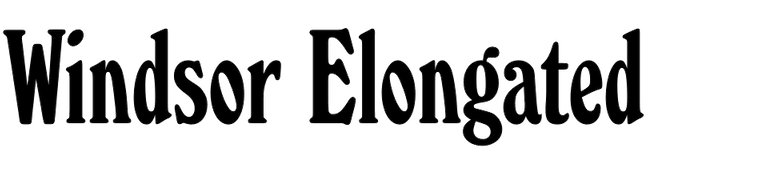 Windsor Elongated in use - Fonts In Use