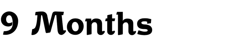 9 Months in use - Fonts In Use