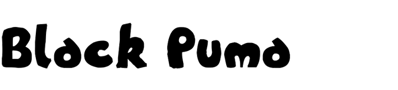 Black Puma in use - Fonts In Use