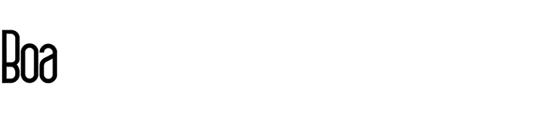 Boa in use - Fonts In Use