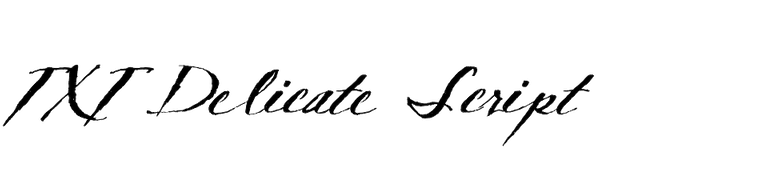 TXT Delicate Script in use - Fonts In Use