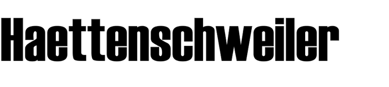 Haettenschweiler in use - Fonts In Use