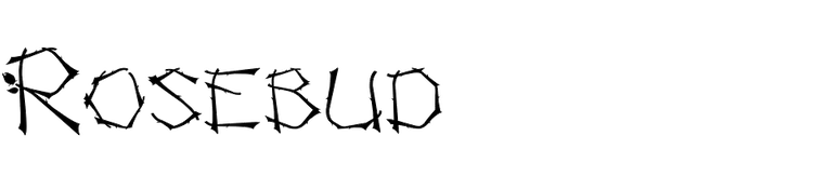 Rosebud in use - Fonts In Use