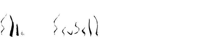 Sumi Strokes in use - Fonts In Use