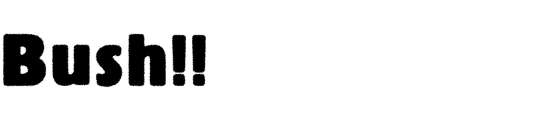 Bush!! in use - Fonts In Use