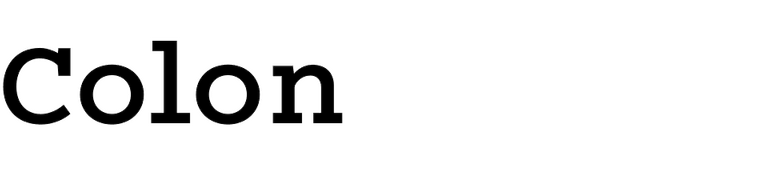 Colon in use - Fonts In Use