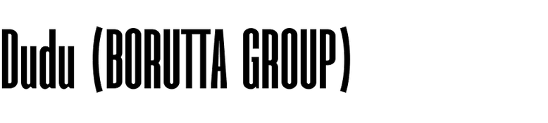 Dudu (Borutta Group) in use - Fonts In Use