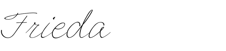 Frieda in use - Fonts In Use