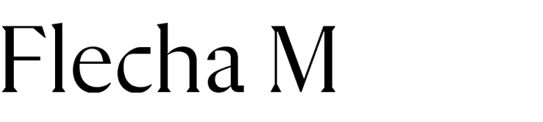 Flecha M in use - Fonts In Use