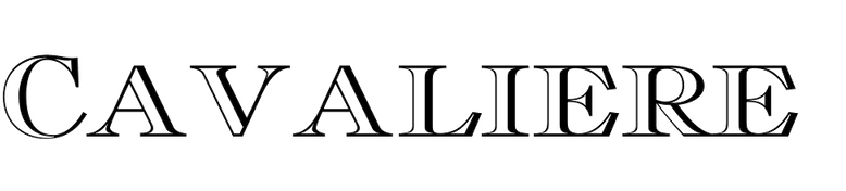 Cavaliere (Wiescher Design) in use - Fonts In Use