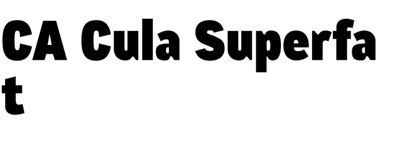 CA Cula Superfat (Cape-Arcona) in use - Fonts In Use