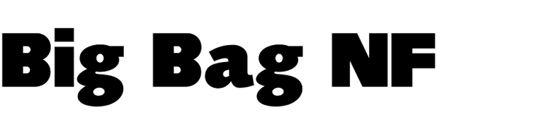 Big Bag NF (Nick's Fonts) in use - Fonts In Use