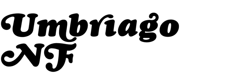 Umbriago NF (Nick's Fonts) in use - Fonts In Use