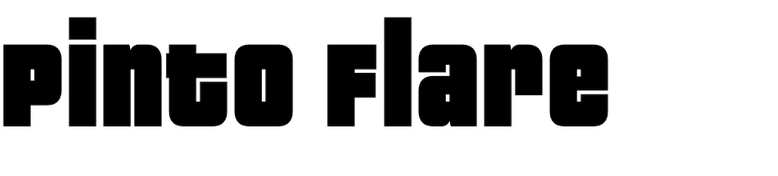 Pinto Flare in use - Fonts In Use