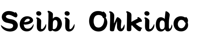 Seibi Ohkido in use - Fonts In Use