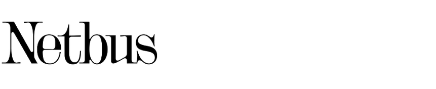 Netbus in use - Fonts In Use