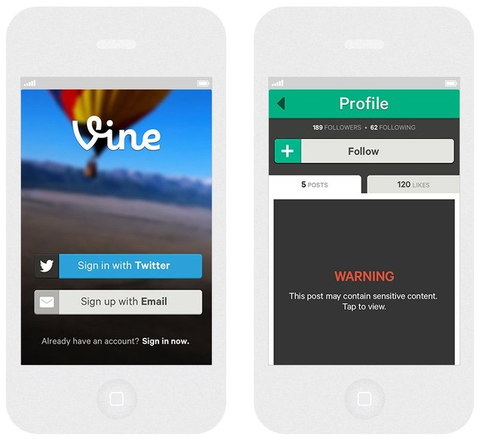 Vine App - Fonts In Use