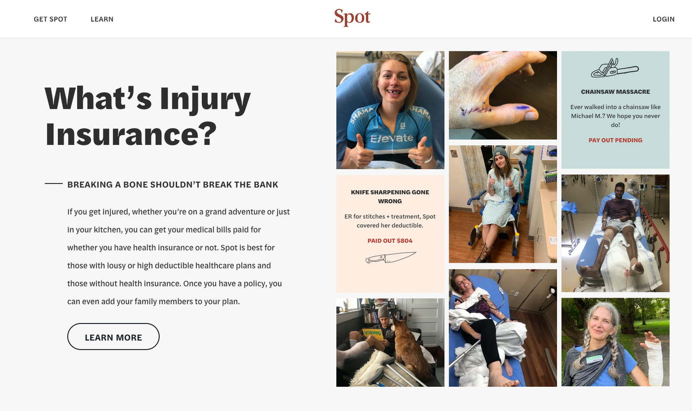 Life By Spot website - Fonts In Use