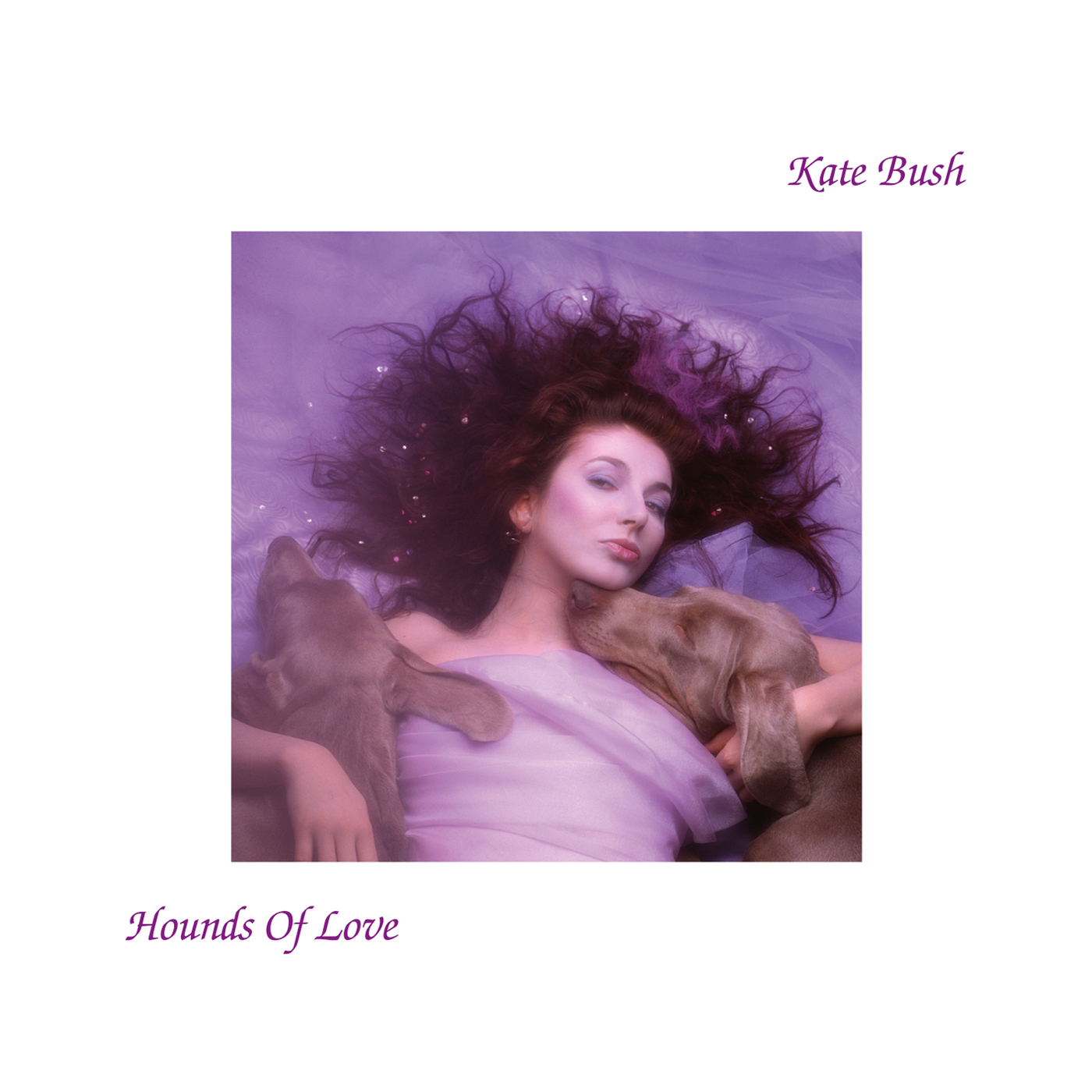Kate Bush – Hounds of Love album art - Fonts In Use