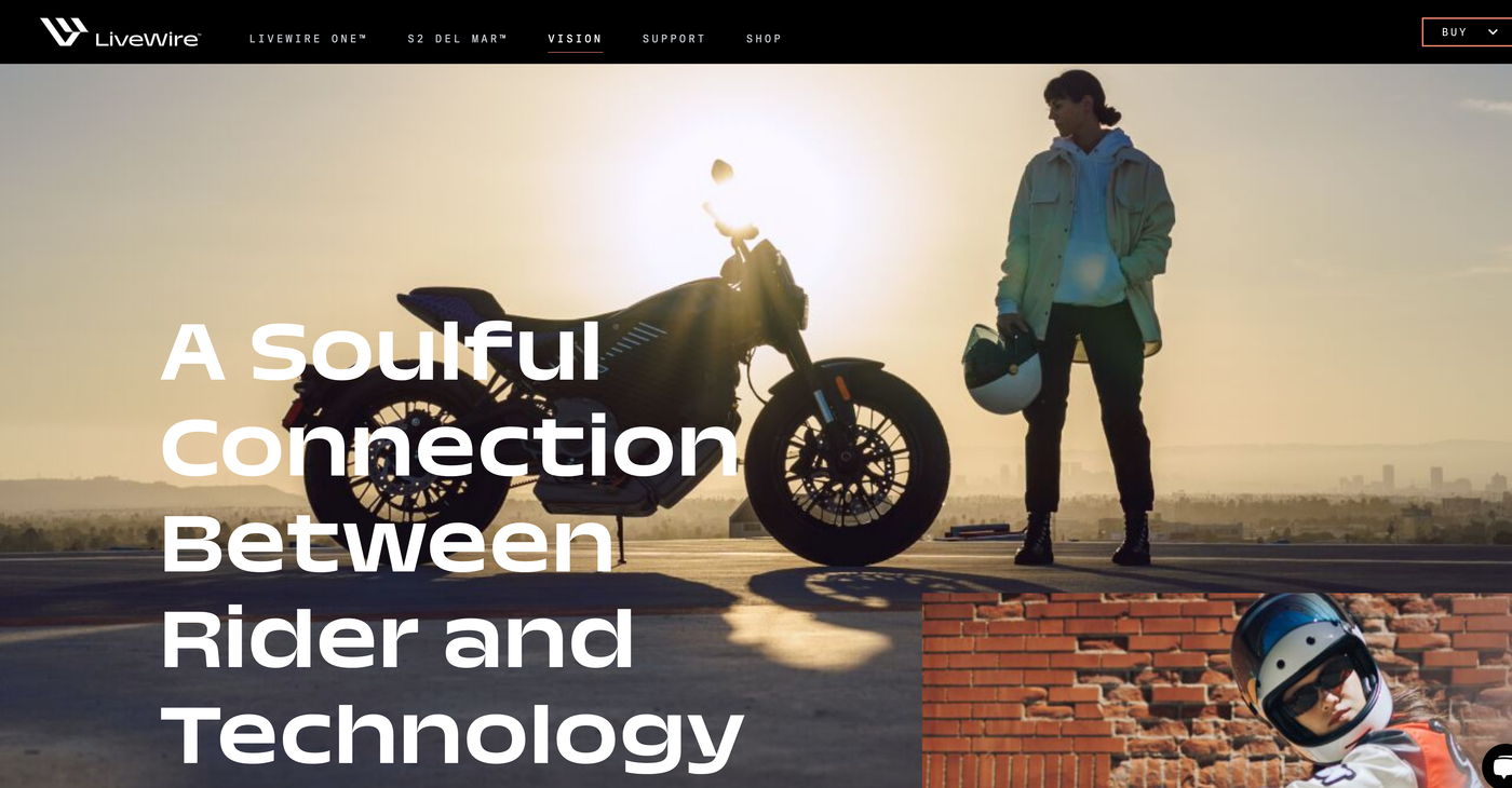 LiveWire brand identity - Fonts In Use