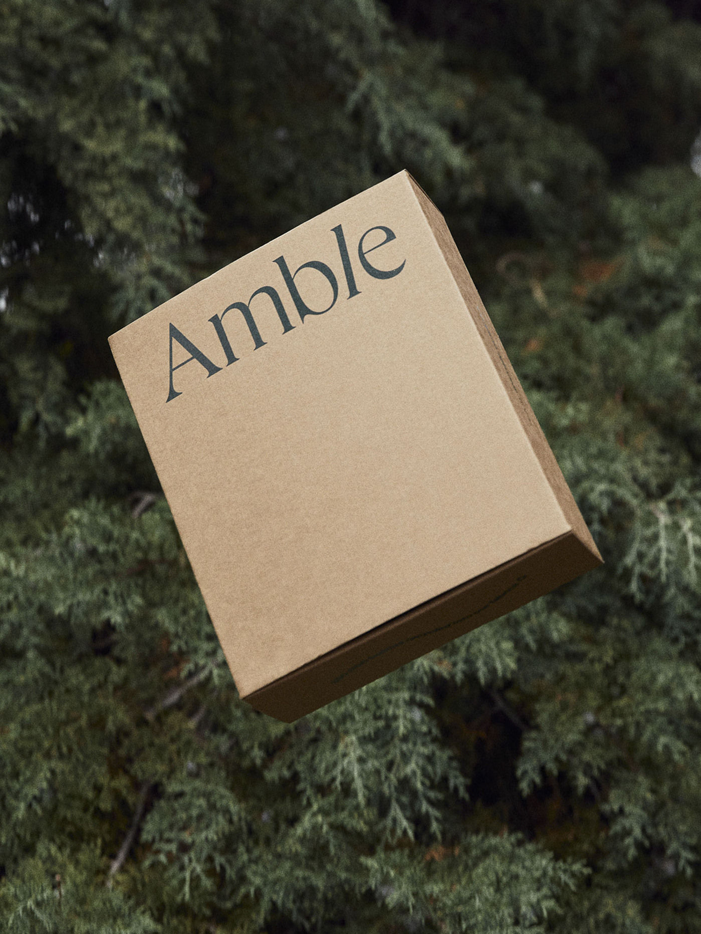 Amble redesign - Fonts In Use