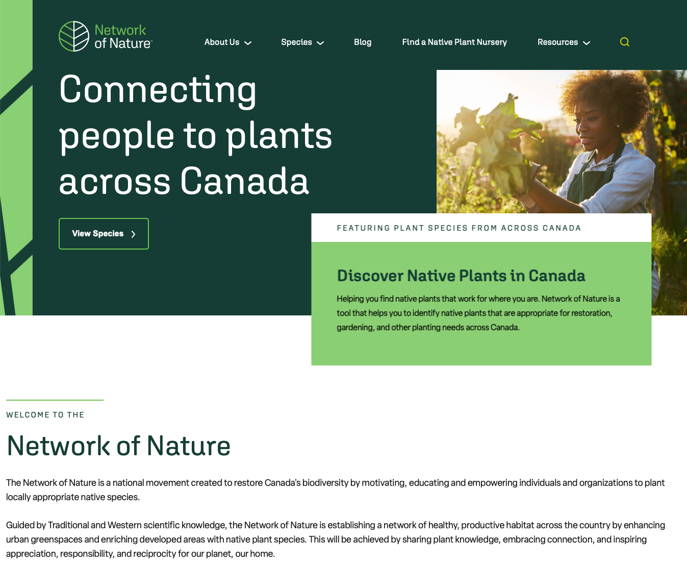 Network of Nature - Fonts In Use