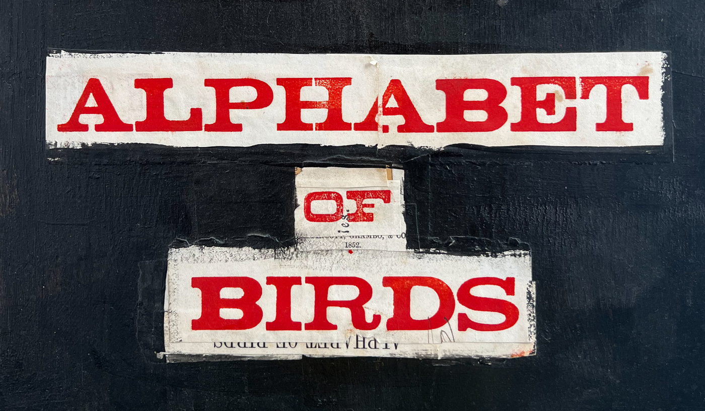Alphabet of Birds - Fonts In Use