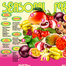 Erin Ruffin at Fonts in Use