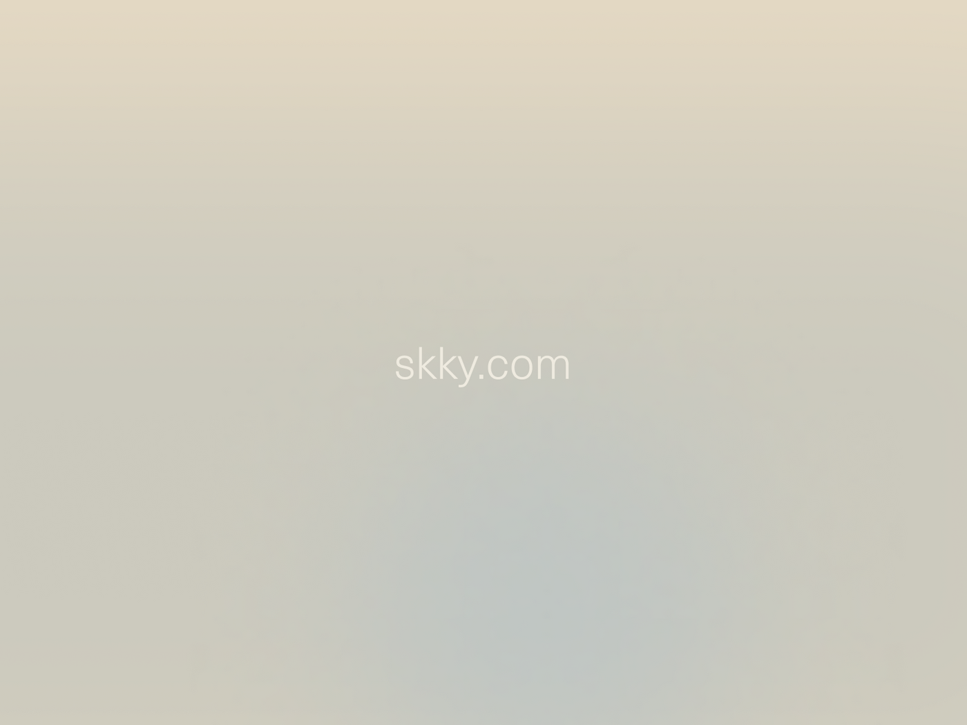 SKKY Partners - Fonts In Use