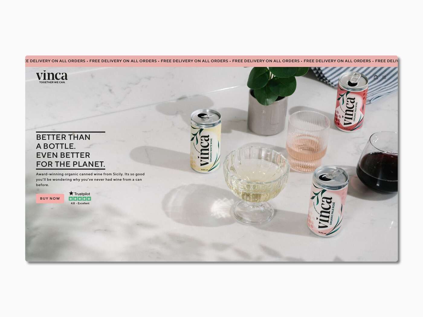 Vinca canned wine - Fonts In Use