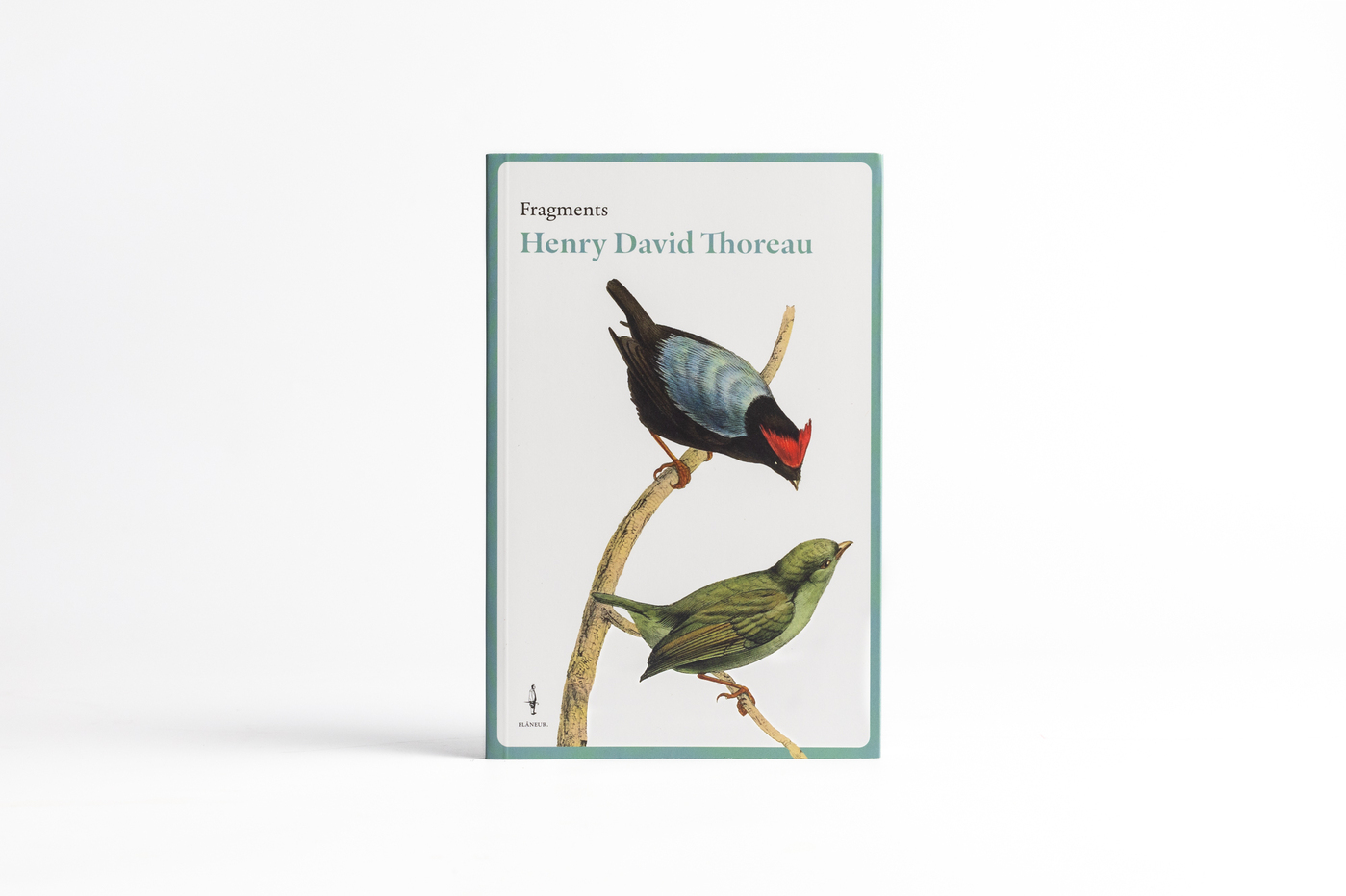 Fragments Flâneur book series - Fonts In Use