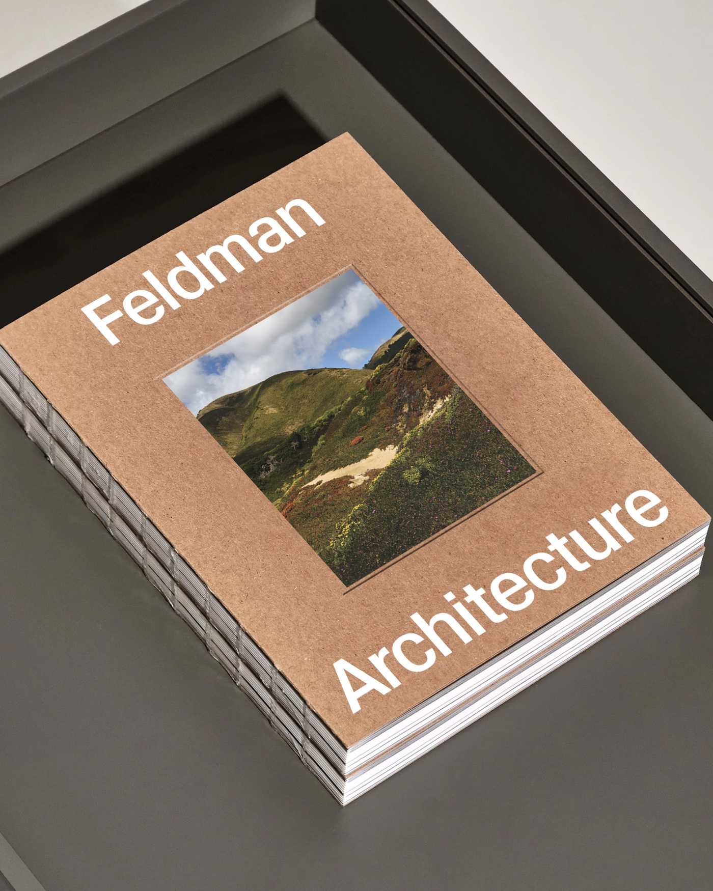 Feldman Architecture identity - Fonts In Use