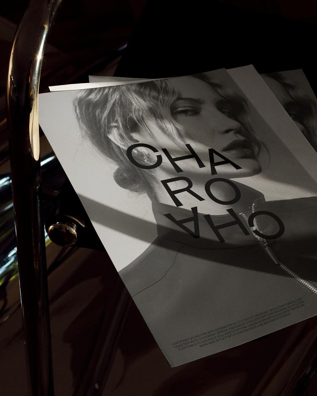 Charo branding - Fonts In Use
