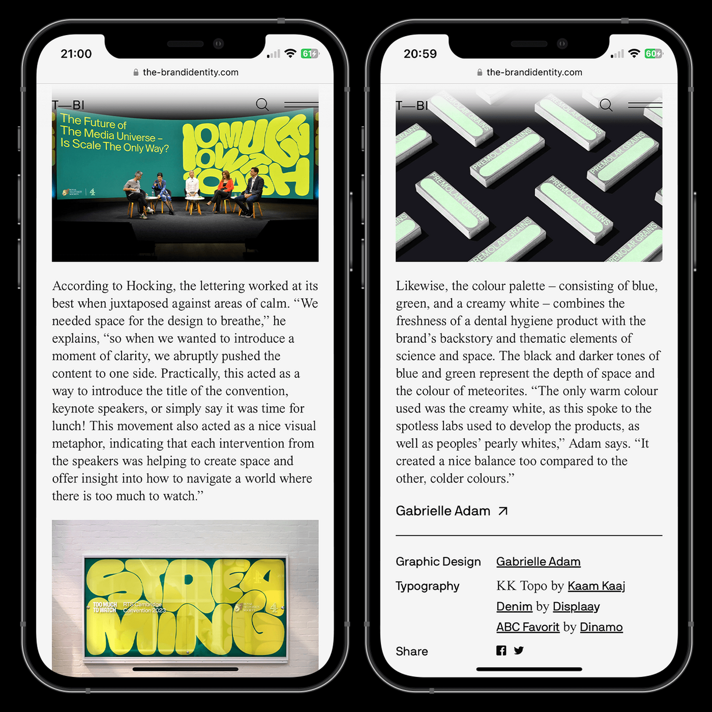 The Brand Identity website - Fonts In Use