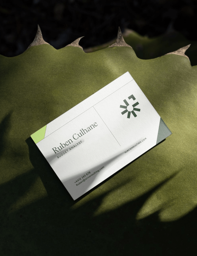 SLR Consulting - Fonts In Use