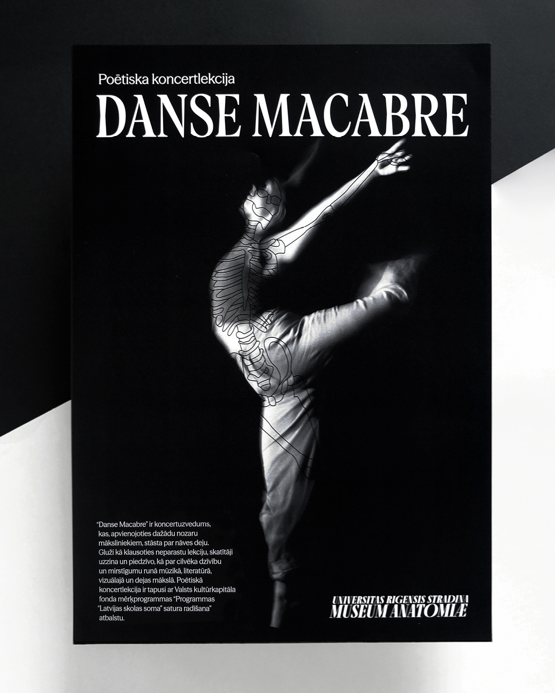 Danse Macabre lecture - Fonts In Use