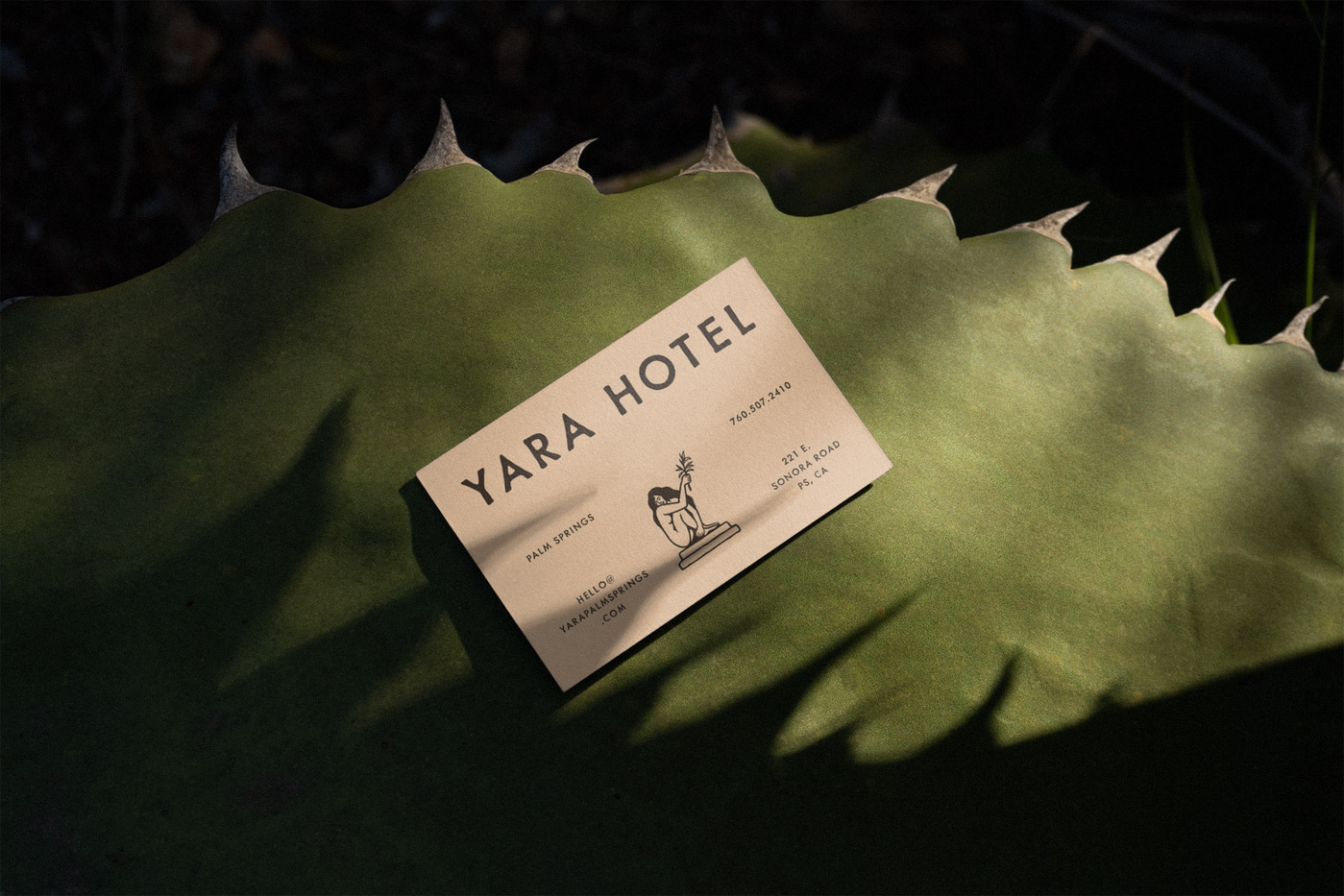 Yara Hotel - Fonts In Use