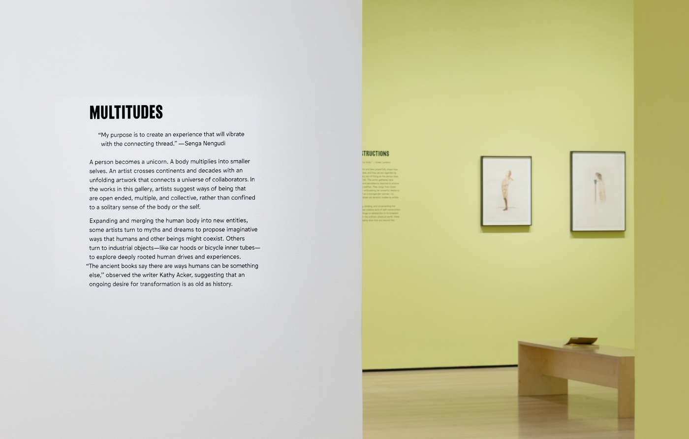 Vital Signs: Artists and the Body at MoMA - Fonts In Use
