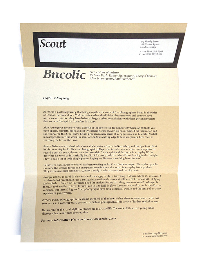 Scout gallery - Fonts In Use