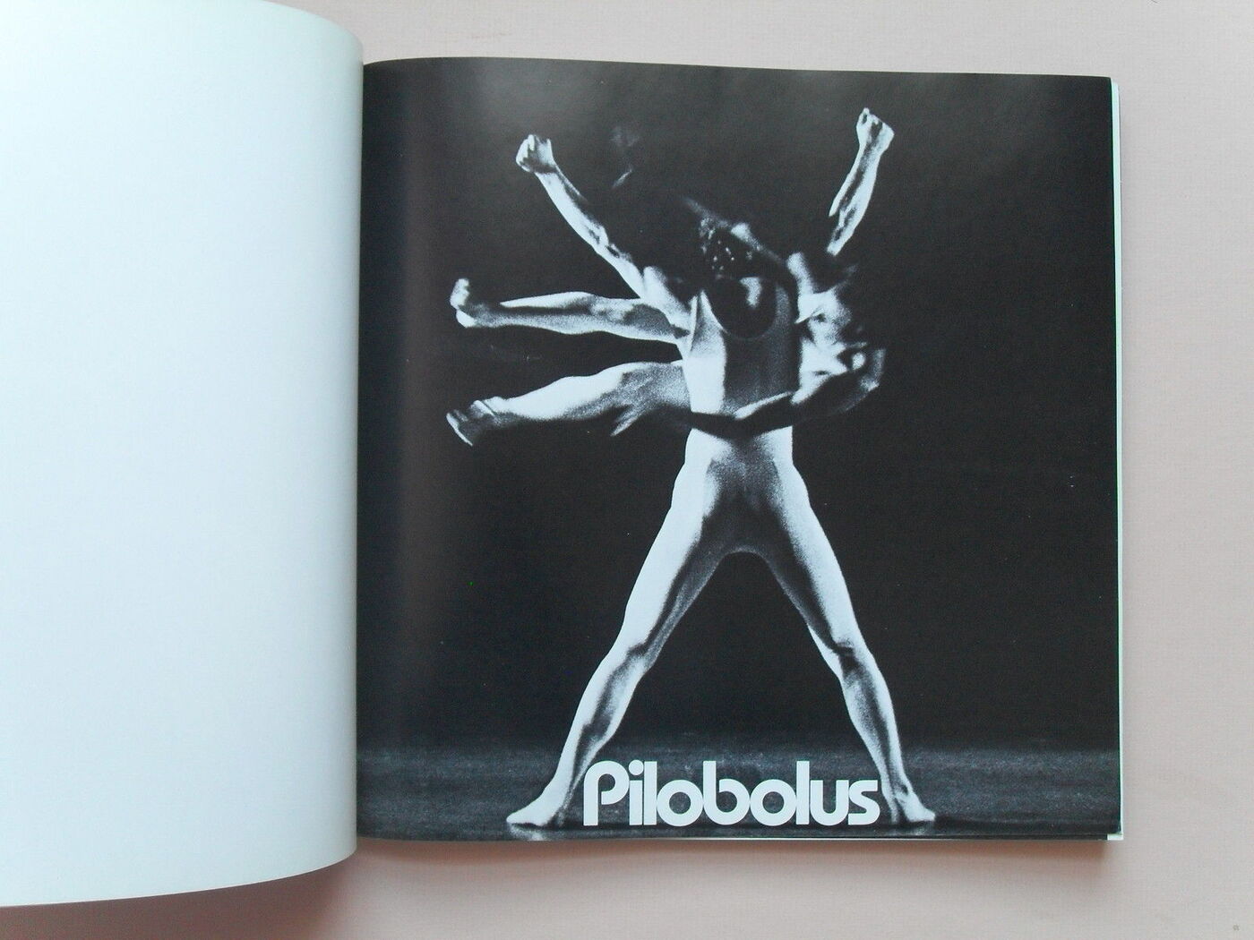 Pilobolus - Fonts In Use