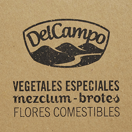 Trollz - Fonts In Use