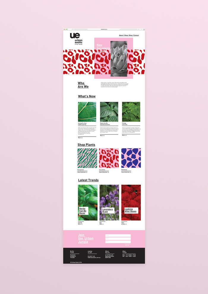 Urban Exotic - Fonts In Use
