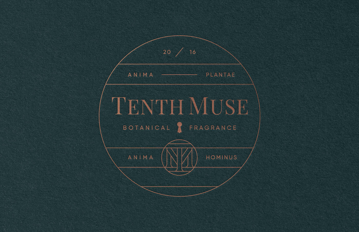 Tenth Muse - Fonts In Use