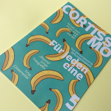 Studio Cerise - Fonts In Use