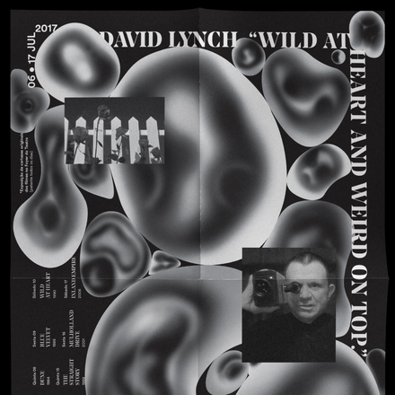 Noe Display in use - Fonts In Use