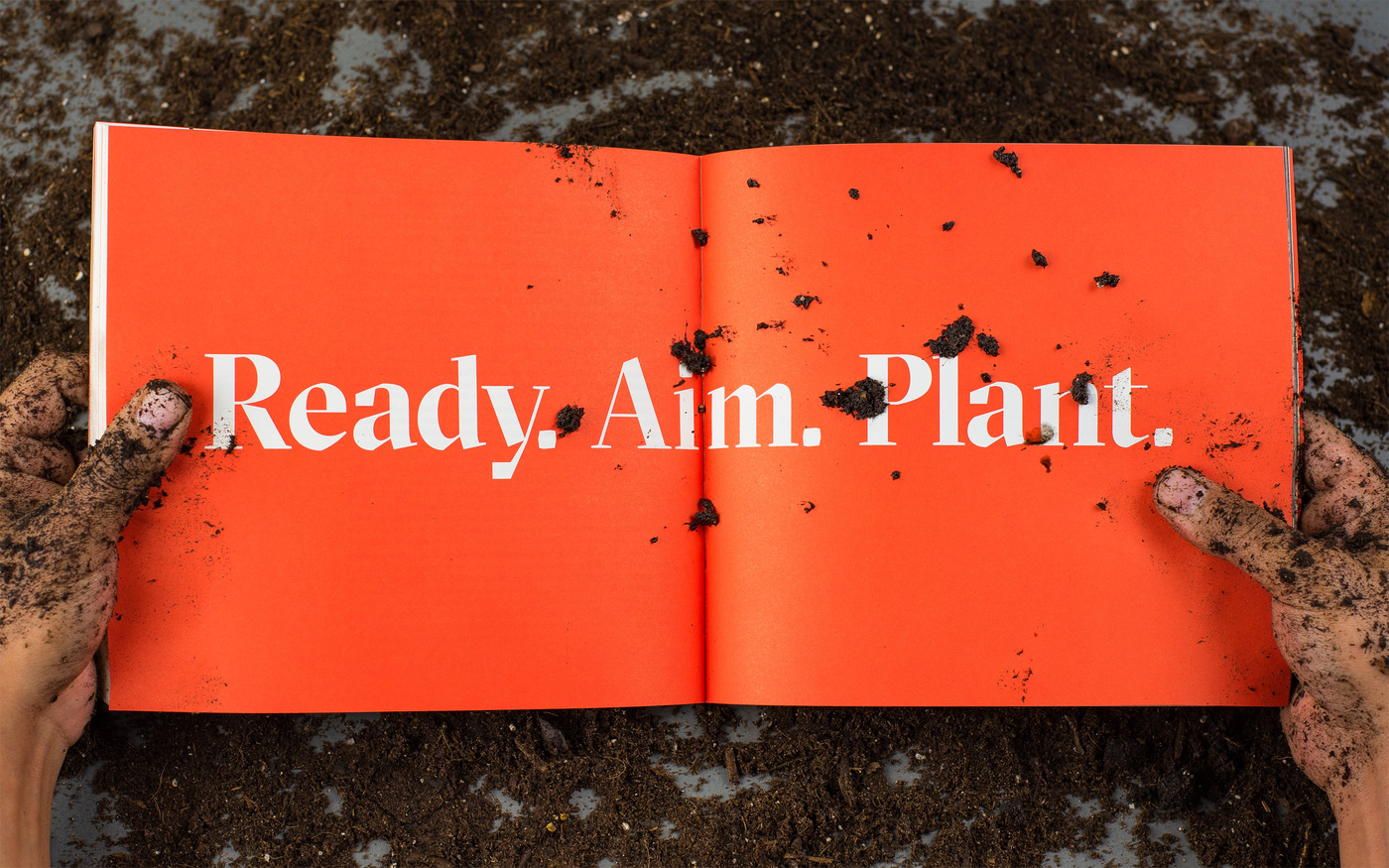 Soil 2017 - Fonts In Use